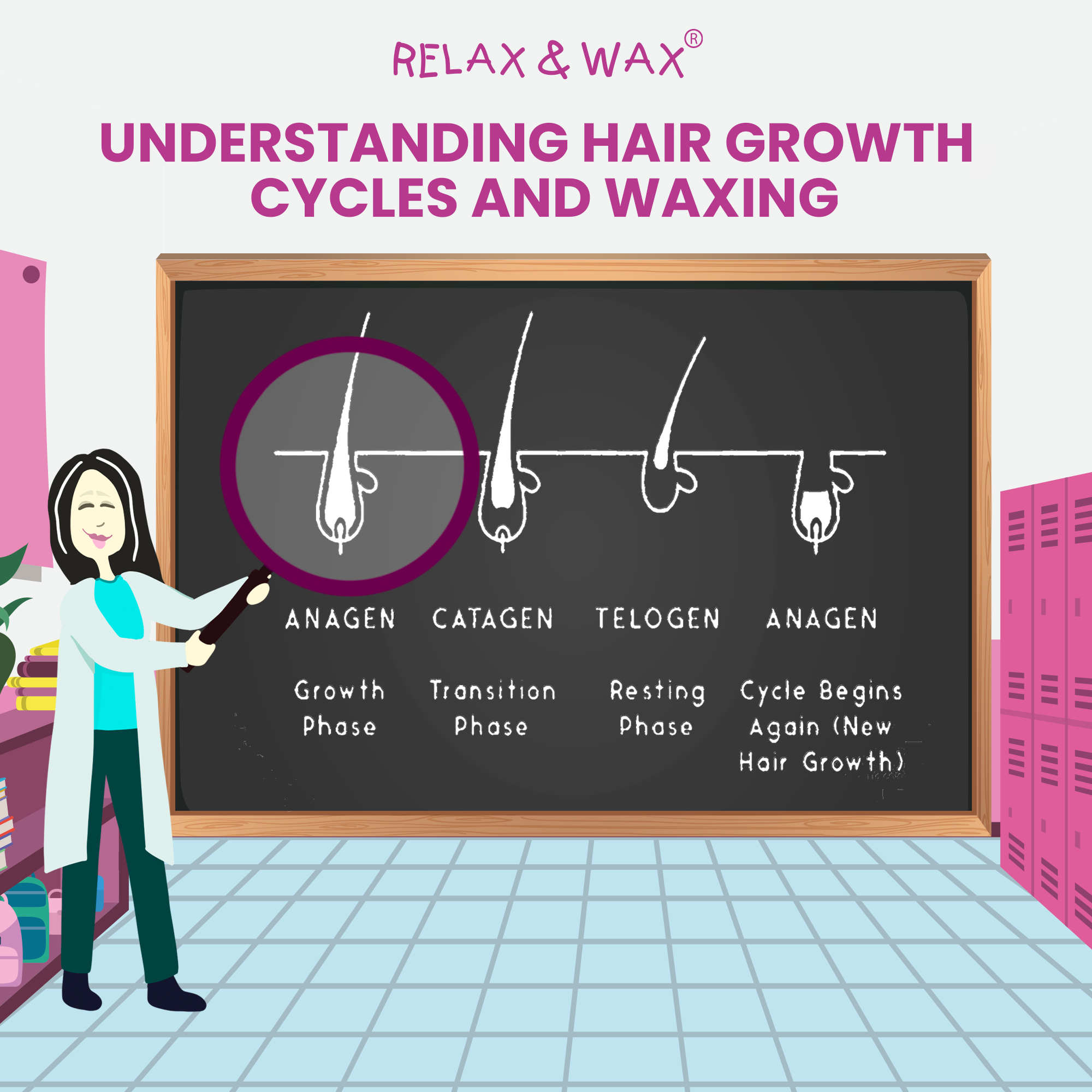 Understanding Hair Growth Cycles & Waxing – Relax N Wax
